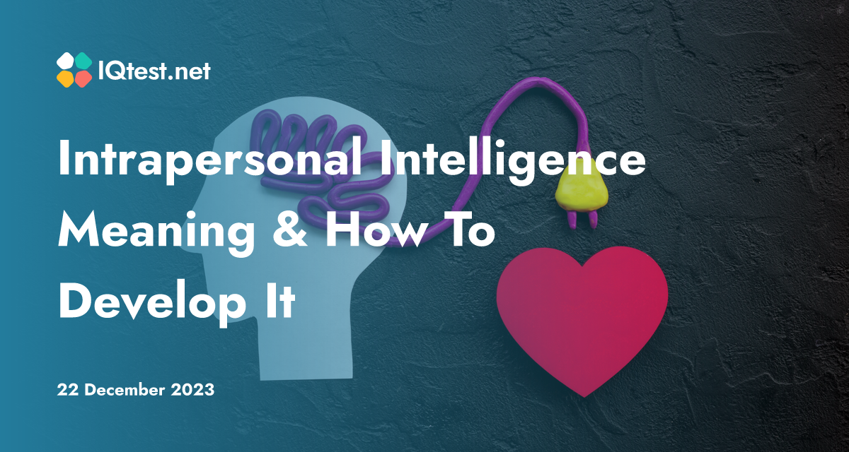 Intrapersonal Intelligence Meaning & How To Develop It