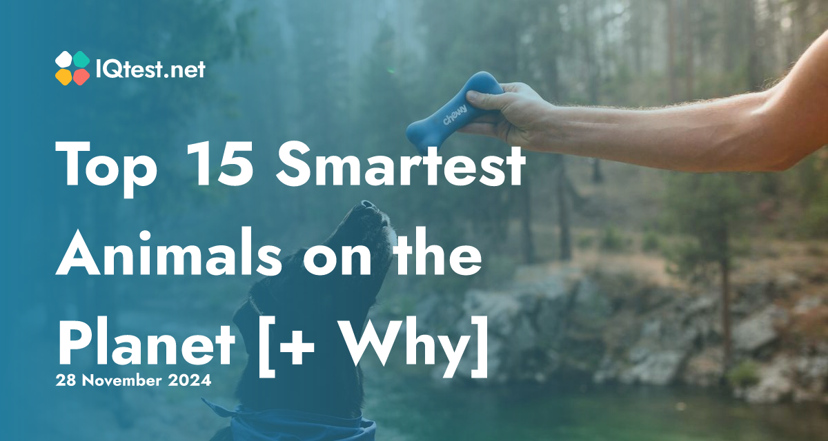 Top 15 Smartest Animals on the Planet [+ Why]